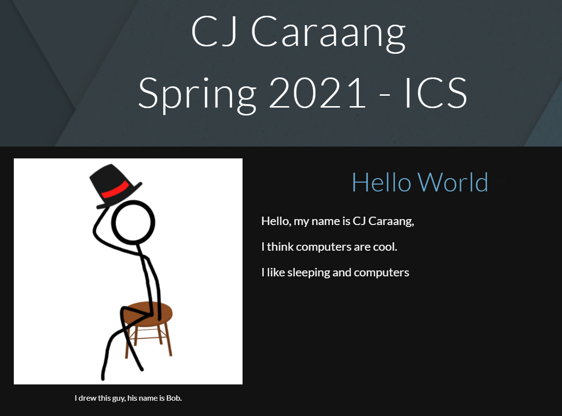 CJ Charles James Caraang | Professional Portfolio